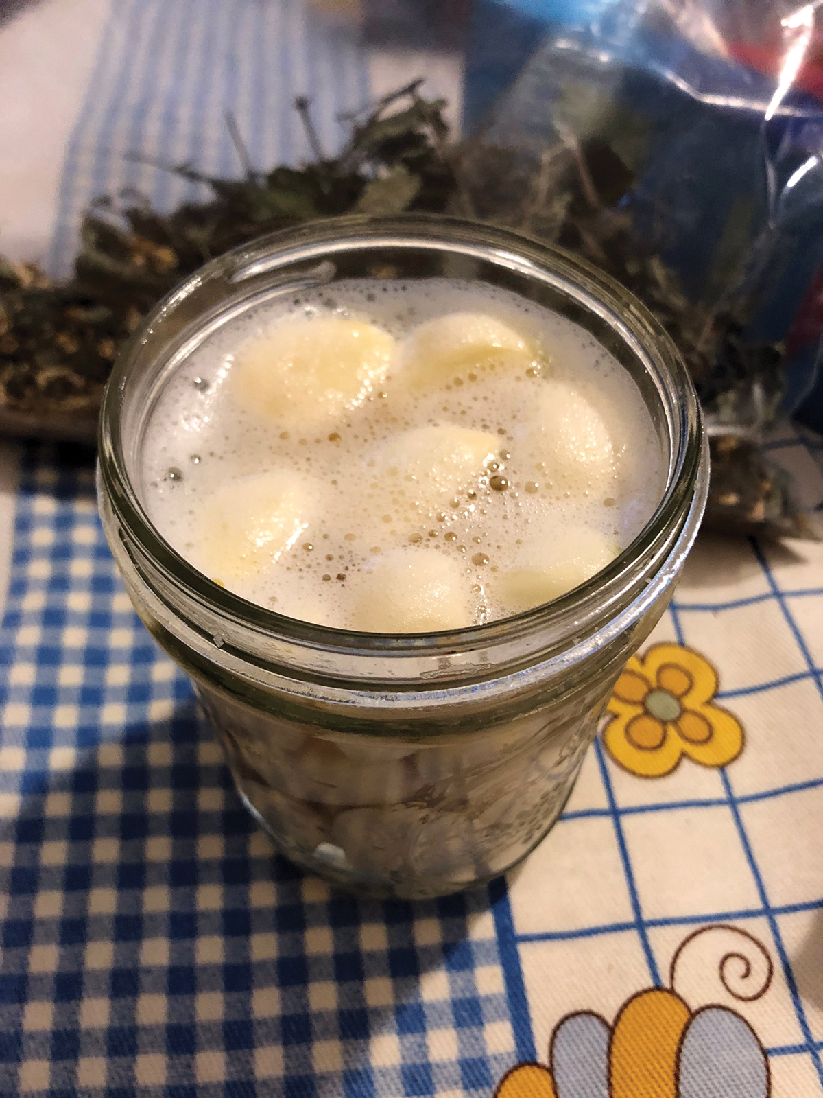 How to Make Fermented Garlic – Mother Earth News